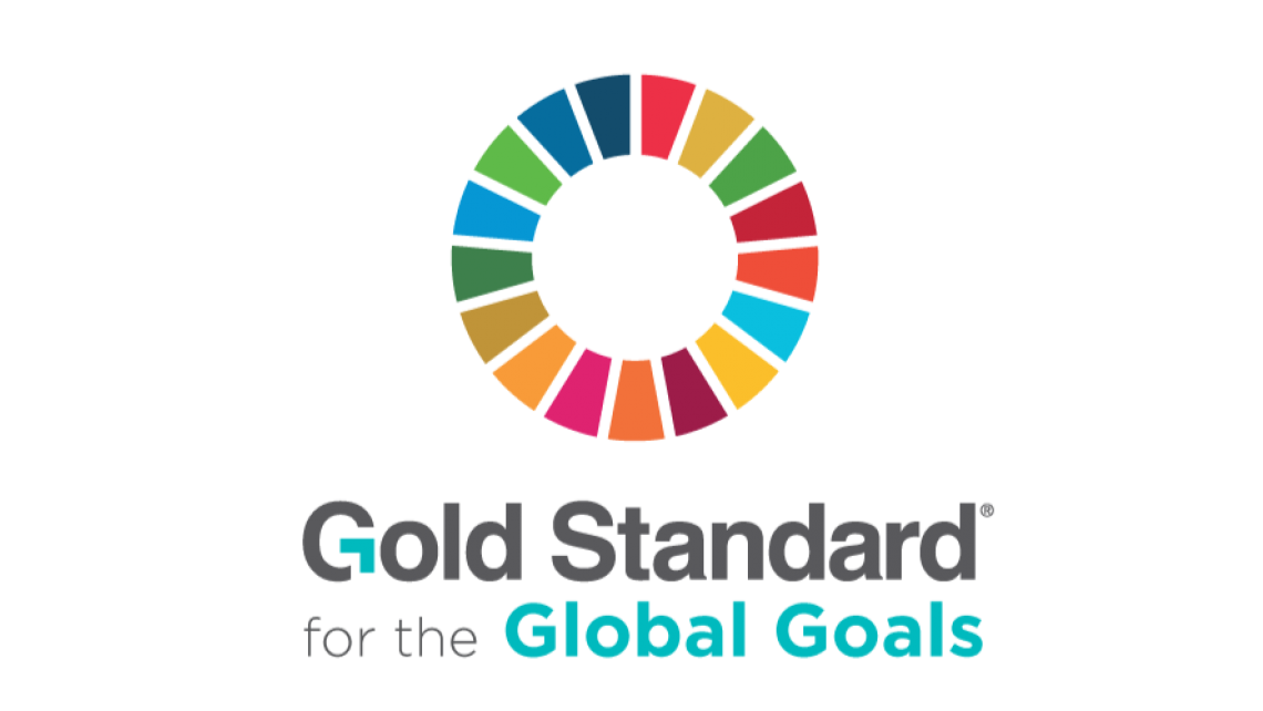 The Gold Standard Logo