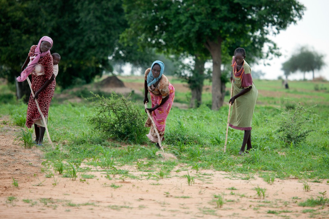 Keeping Up the Focus - Impakter