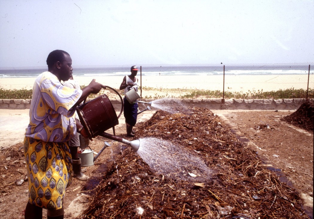 SDG 12: Placing Consumers and Producers at the Heart of Sustainable ...