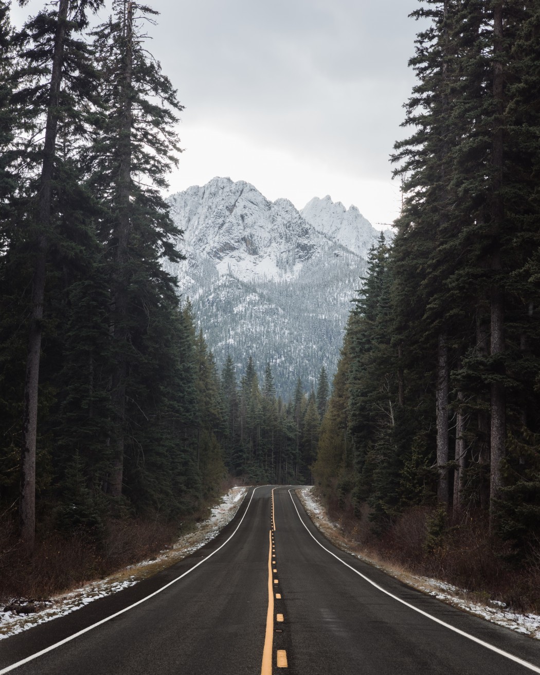 Visual Imagery with Morgan Phillips - Impakter