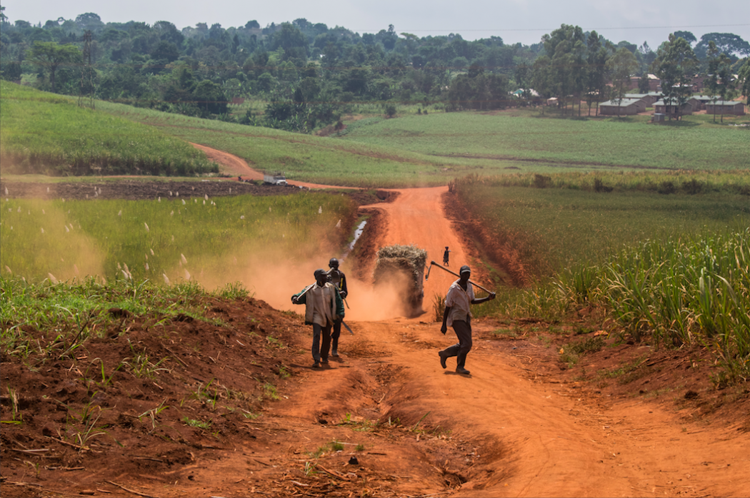Uganda's Working Environment: Growing Livelihoods Without Shrinking ...