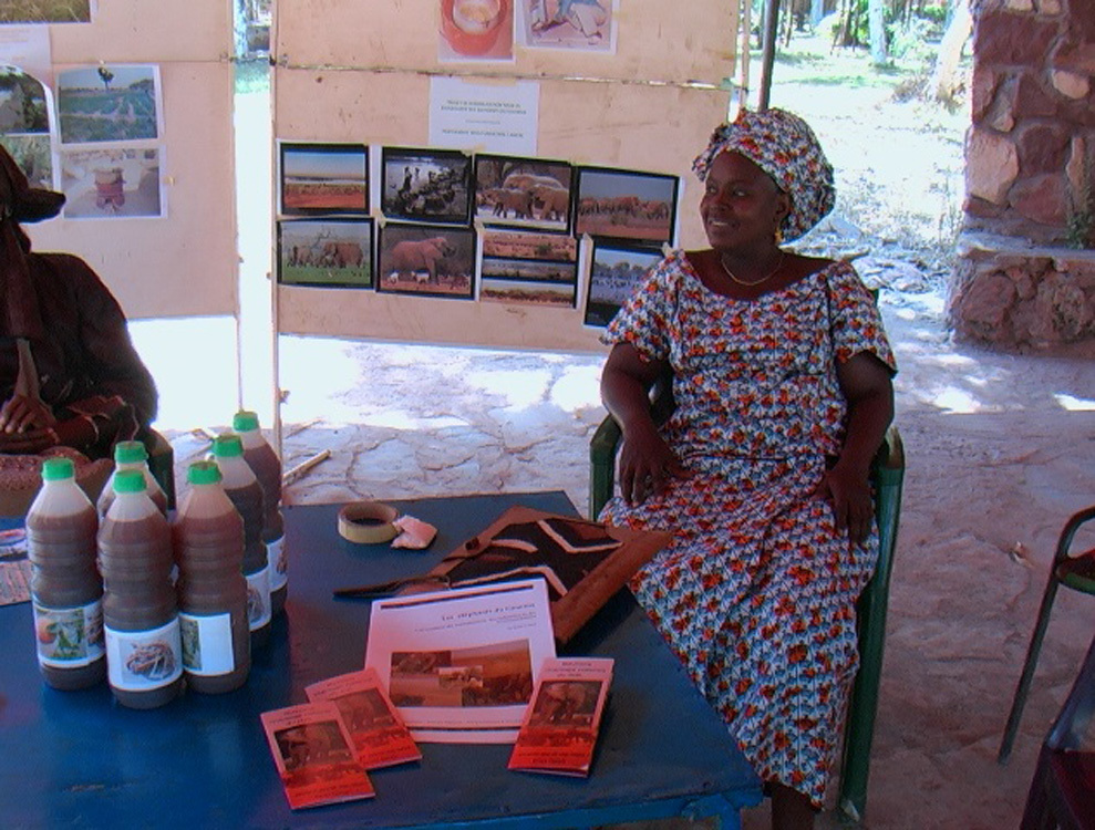 Defending Wildlife: The Road to SDG 16 in Mali - Impakter