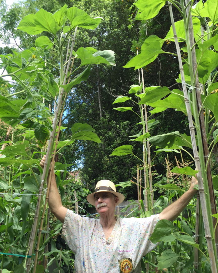 Looking to the future and past with Howard Rheingold - Impakter