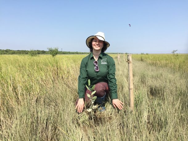 Drones Planting Trees: An interview with BioCarbon Engineering - Impakter