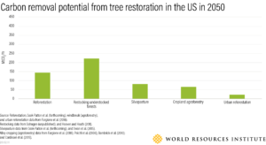 How and Where to Plant 60 Billion Trees in the US - Impakter