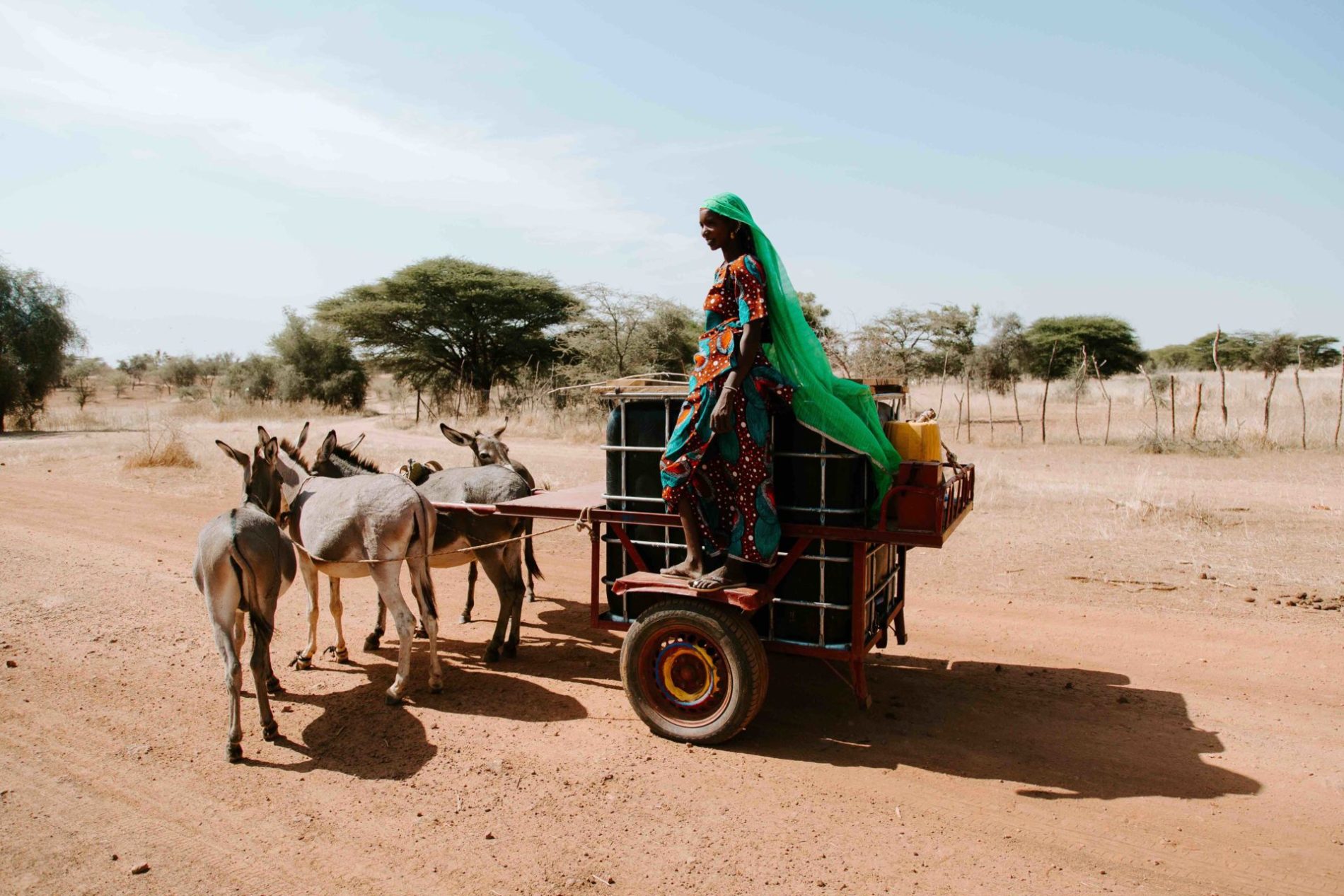 How the Women of Rural Senegal Are Fighting Drought, Hunger and ...