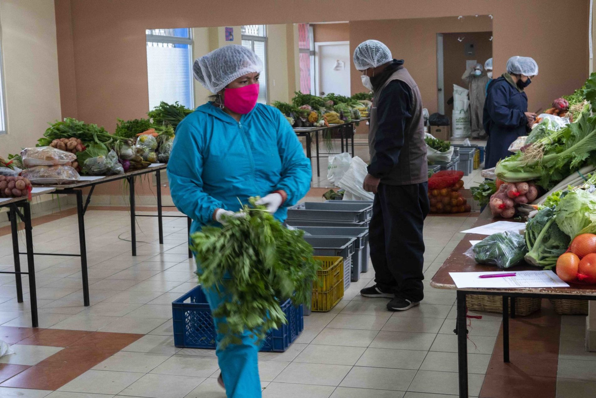 In the Face of COVID-19, Farmers in Ecuador Innovate a Whole New Food ...
