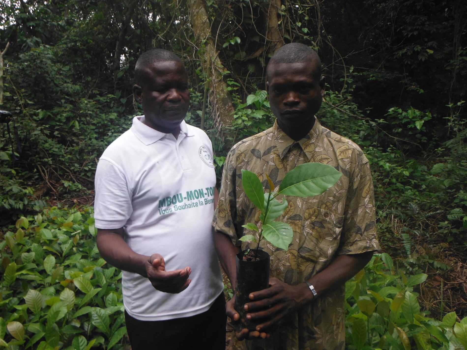 Boosting Rights & Resilience In Earth’s Threatened Forests - Impakter