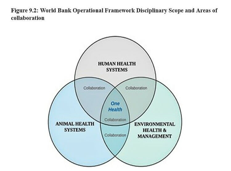 One Health and Well-Being - Inspiring a Global Unity of Purpose - Impakter