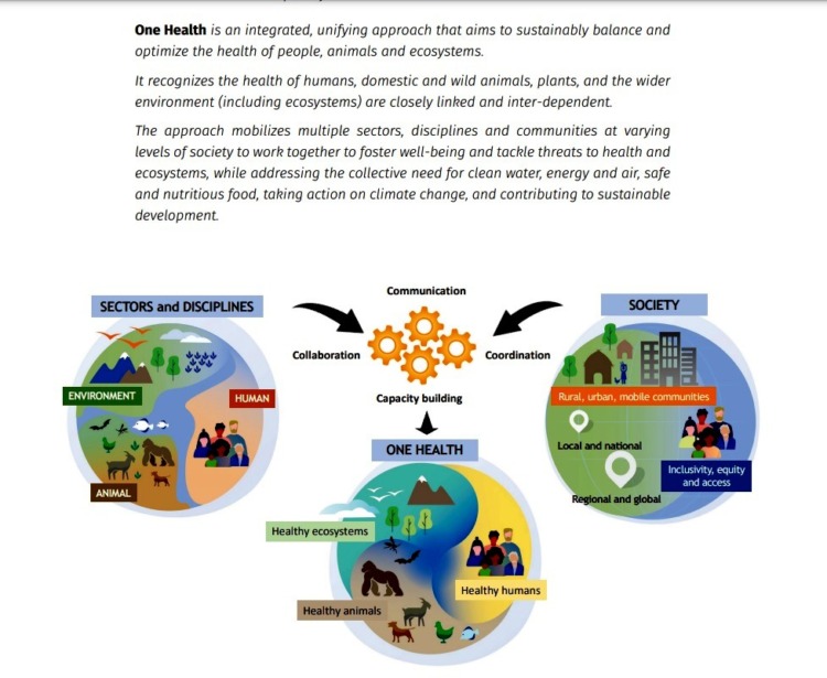 One Health: The International Community Takes A New Step Forward - Impakter