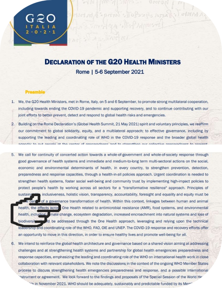 One Health: A Paradigm Whose Time Has Come? - Impakter