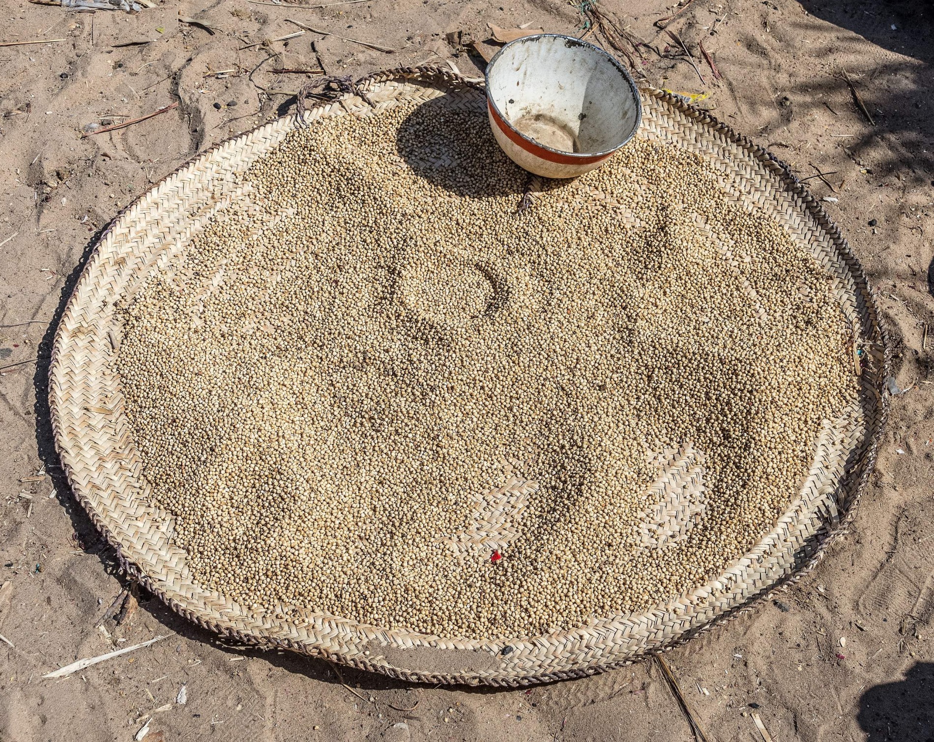 This Ancient Grain Could Help End World Hunger - Impakter