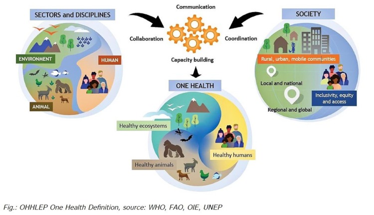 One Health and Gender: Why The Two Need To Become One - Impakter