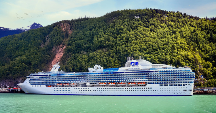 Cruise Ships: The Paradox of Oceanic Indulgence - Impakter