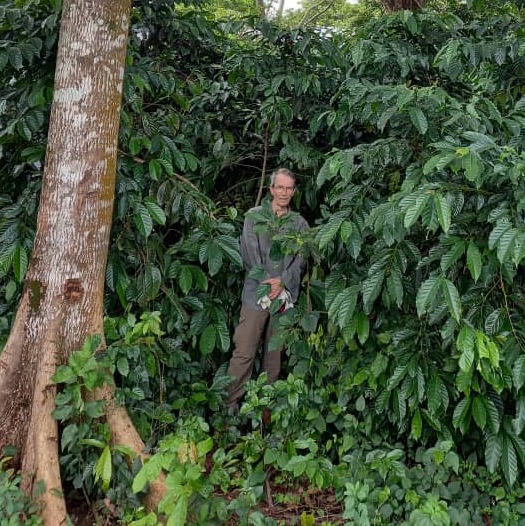 Bruno Devresse - Executive Director of APAF International, Author at ...